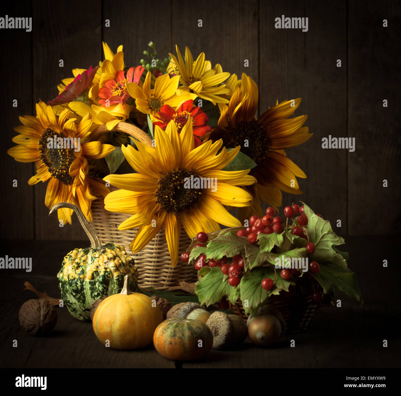 Still life in colours of autumn Stock Photo - Alamy
