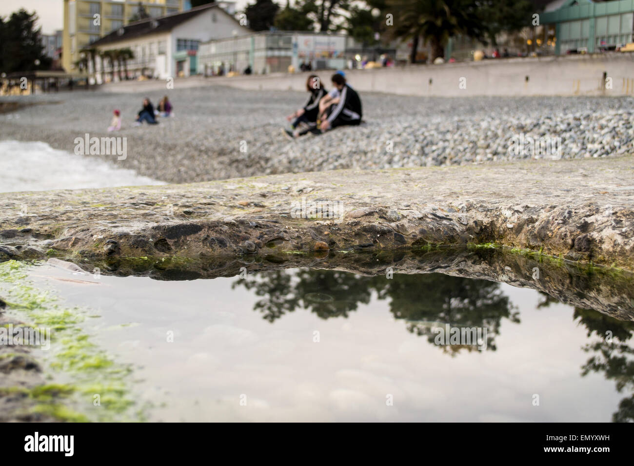 A pool of water reflects people and trees as the tides shrink during ...