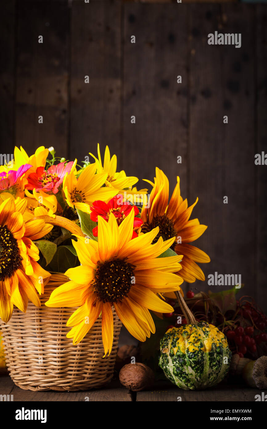 Still life in colours of autumn Stock Photo - Alamy