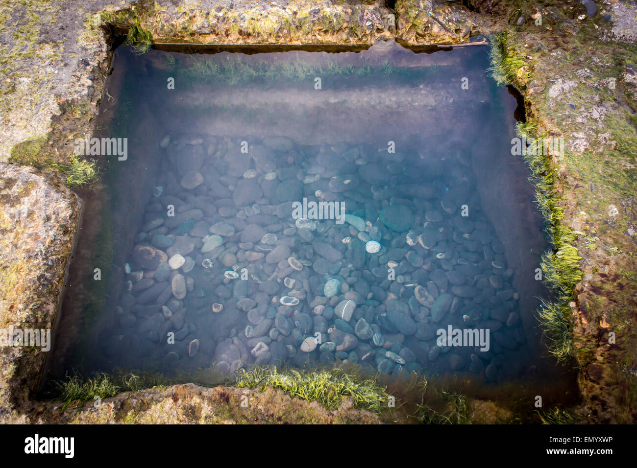 Small reflection pond with heavy stones and pebbles and surrounded by ...