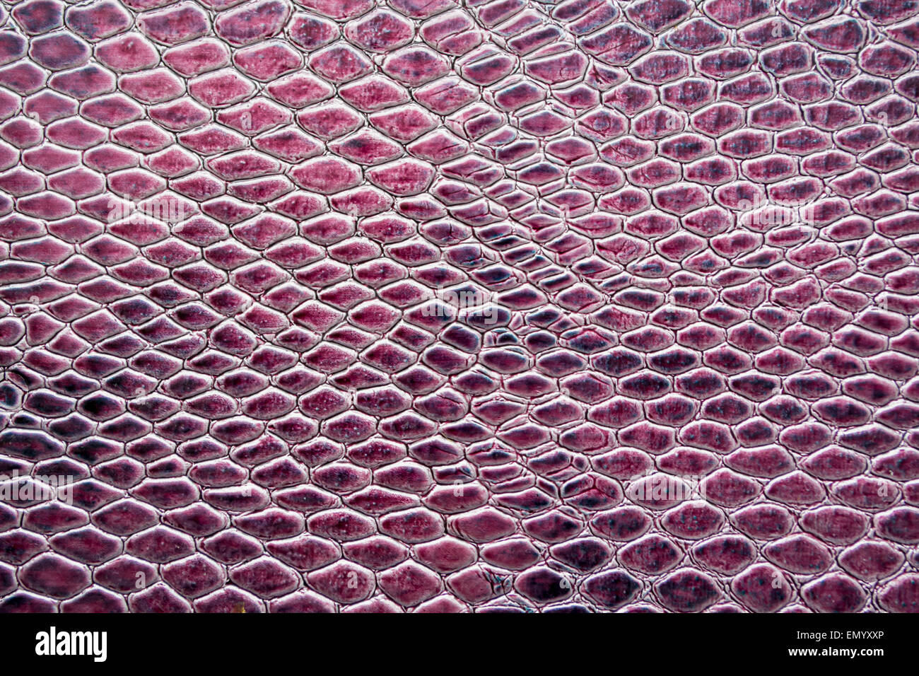 Reptilian skin texture hi-res stock photography and images - Alamy