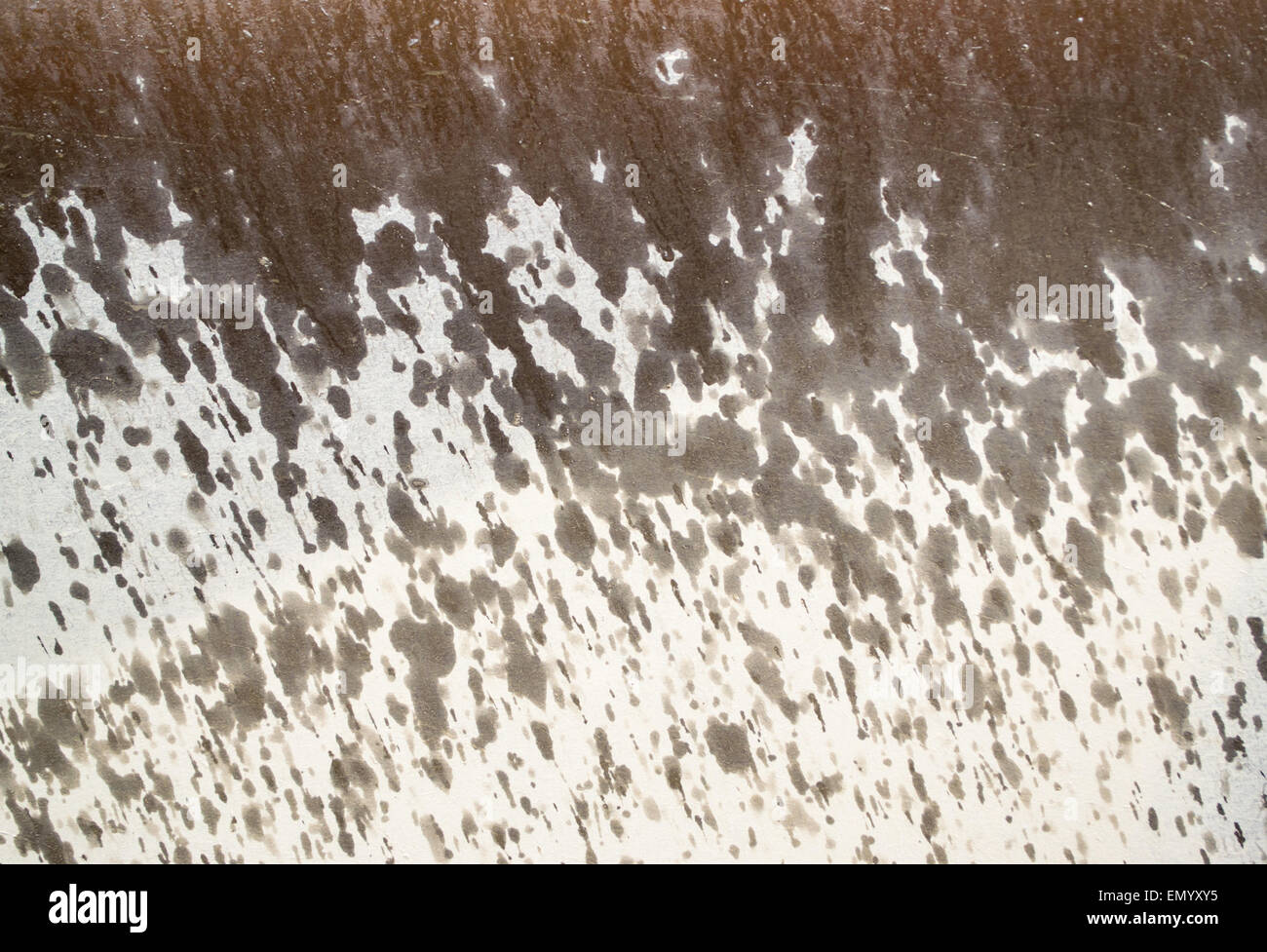 Dirt specks hi-res stock photography and images - Alamy