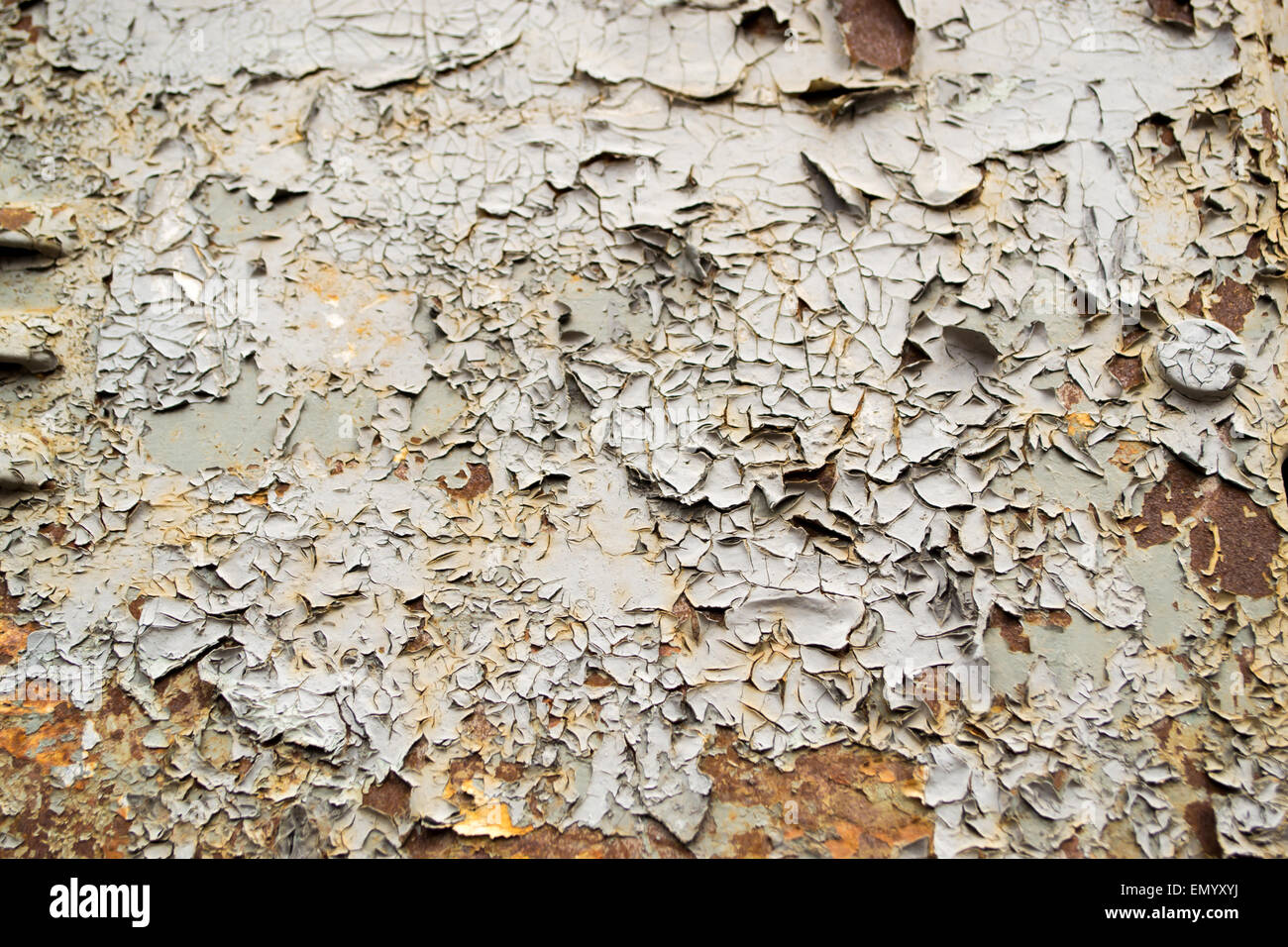 Peeling paint on a metal base with rust appearing underneath Stock ...