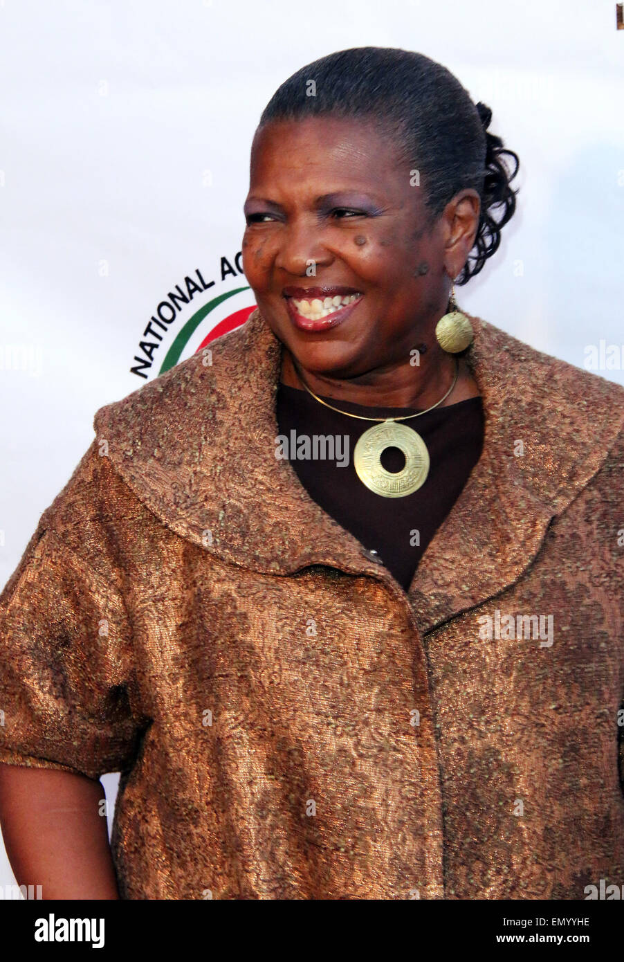 Reverend Al Sharpton NAN Vanguard Awards & 60th Birthday Celebration ...