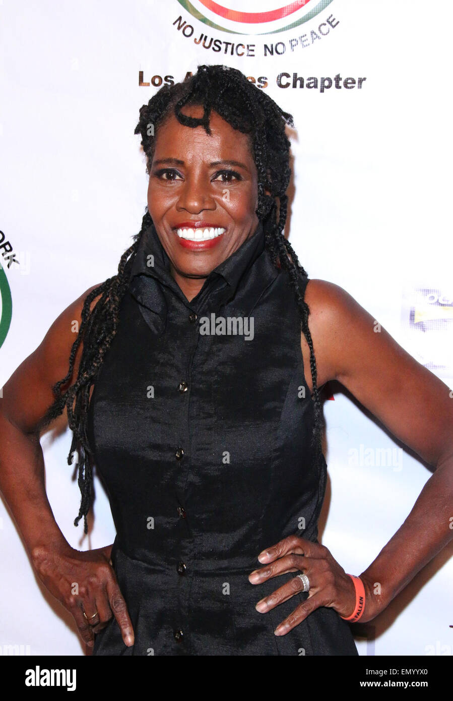 Reverend Al Sharpton NAN Vanguard Awards & 60th Birthday Celebration ...