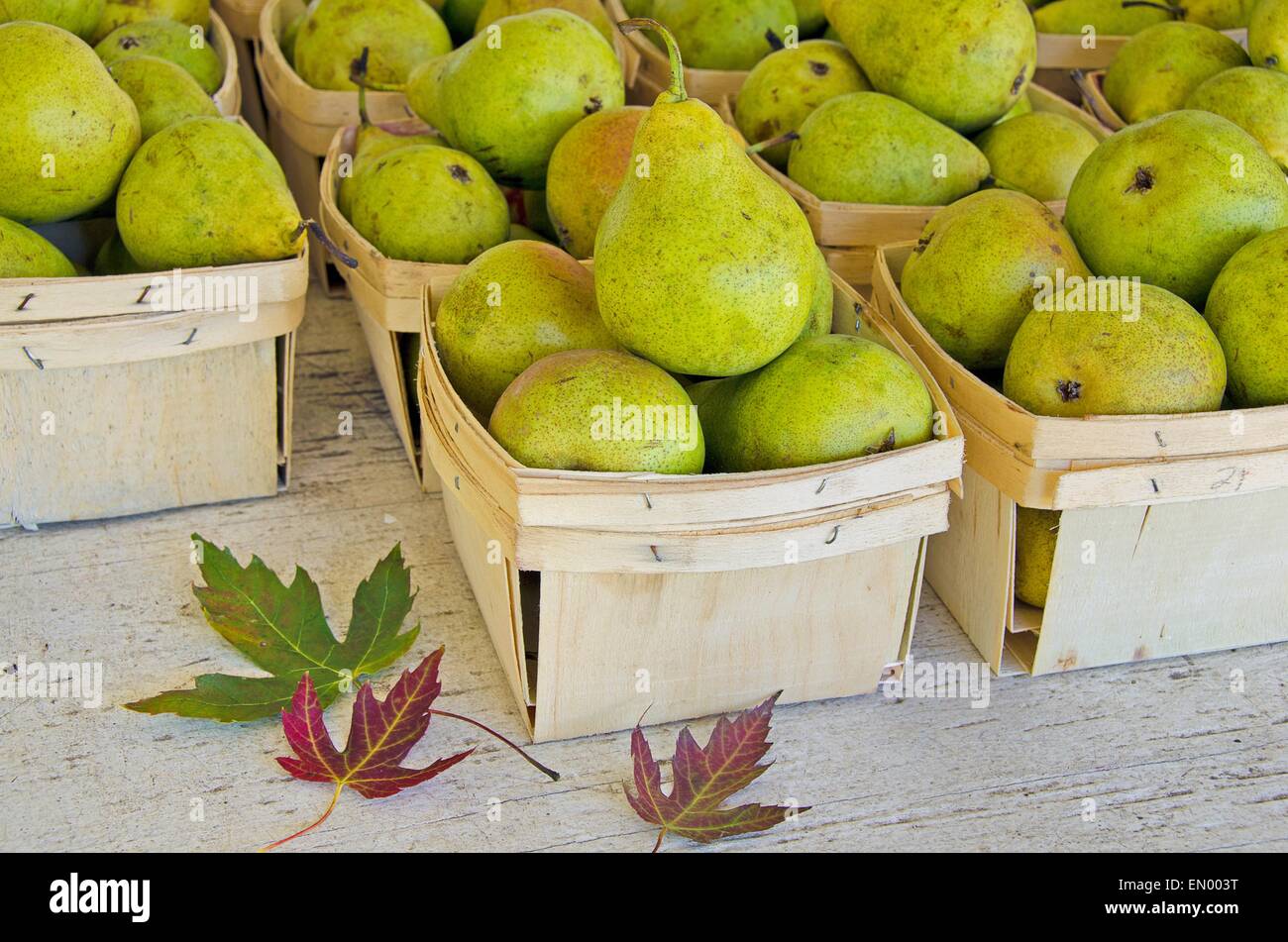 Pears in wooden produce boxes with fall leaves at the farmer's market ...
