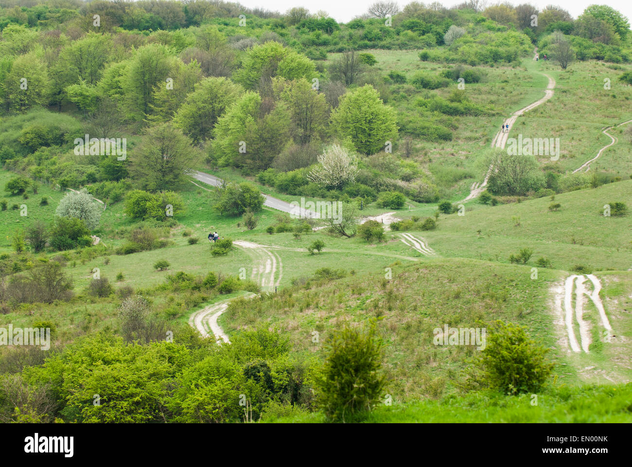 Start of Ridgeway footpath at Ivinghoe Beacon, Ashridge Estate ...