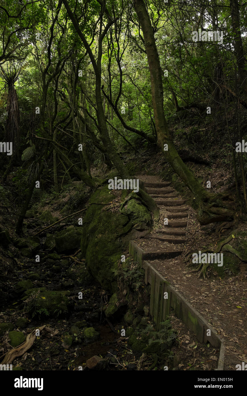 Manawatu gorge hi-res stock photography and images - Alamy