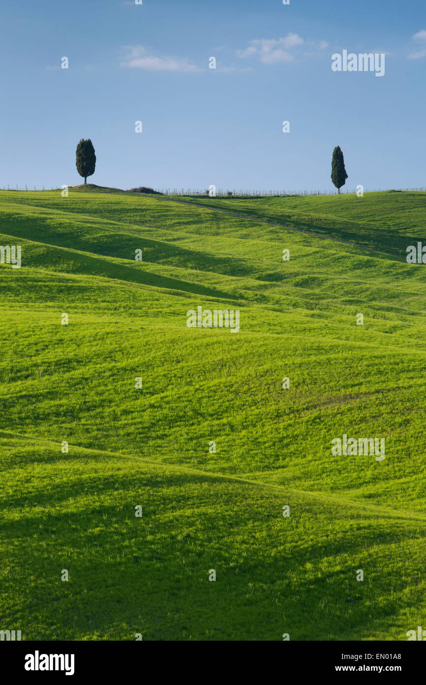 Rolling hills and trees hi-res stock photography and images - Alamy
