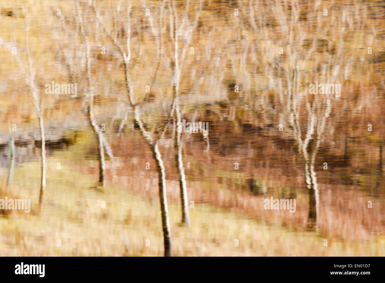Tree reflections in Watendlath, Lake District, England Stock Photo - Alamy