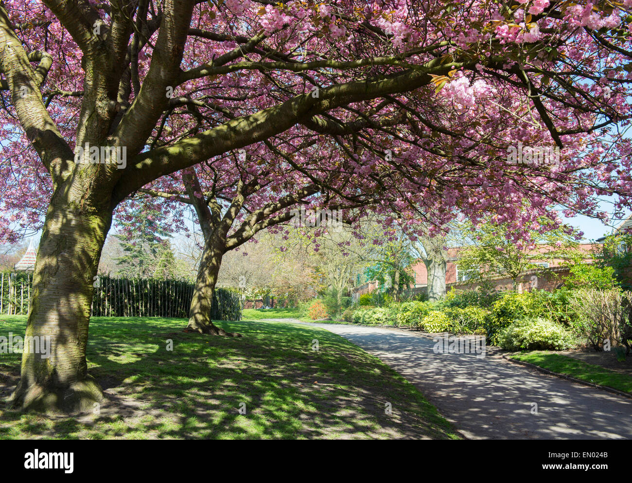 Spring at the Arboretum Park in Nottingham City Centre, Nottinghamshire ...