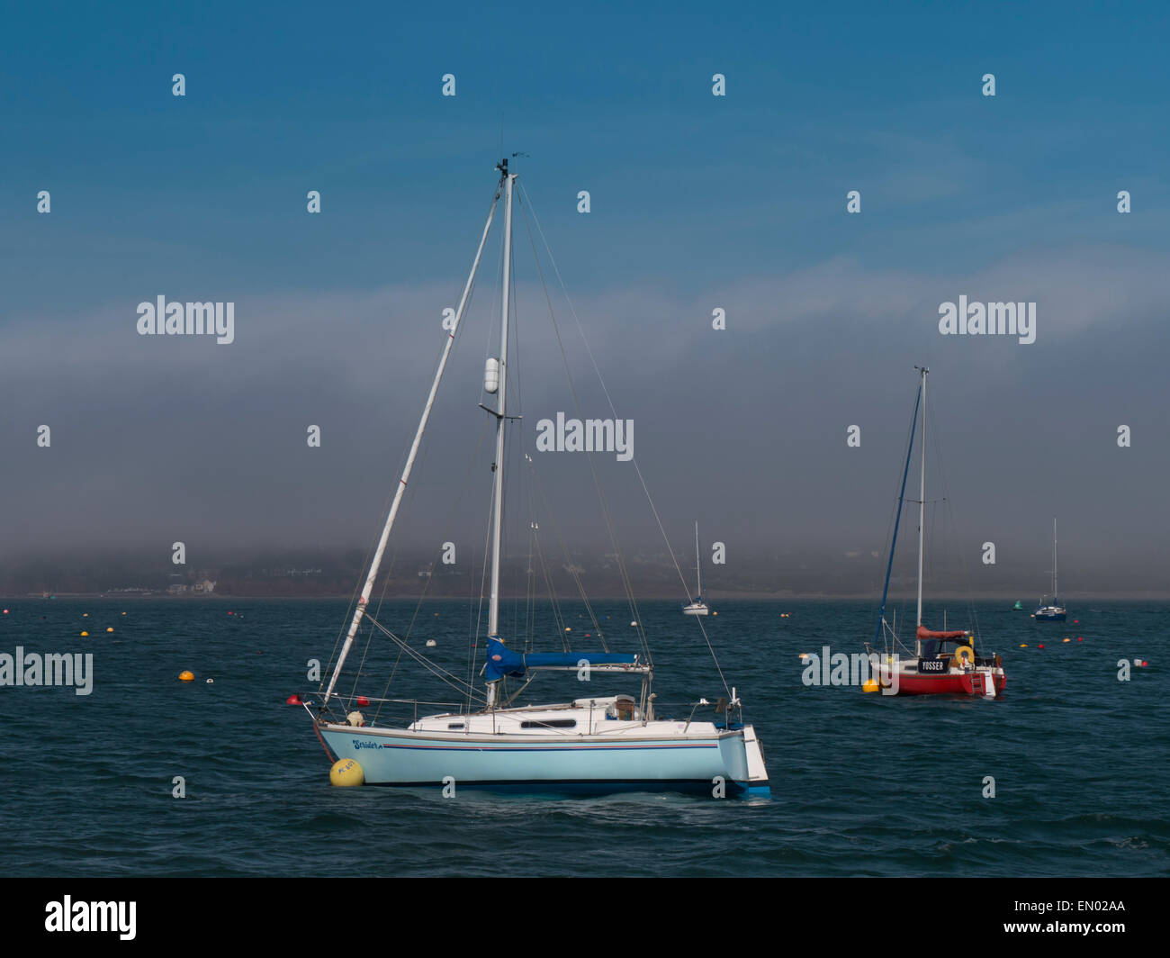 europe, uk, england, devon, Exe estuary Stock Photo - Alamy