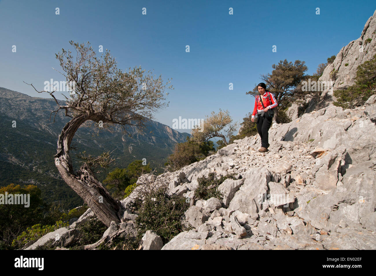 Dorgali,Sardinia,Italy, 12/4/2015.Tourist trekking and landscapes in ...