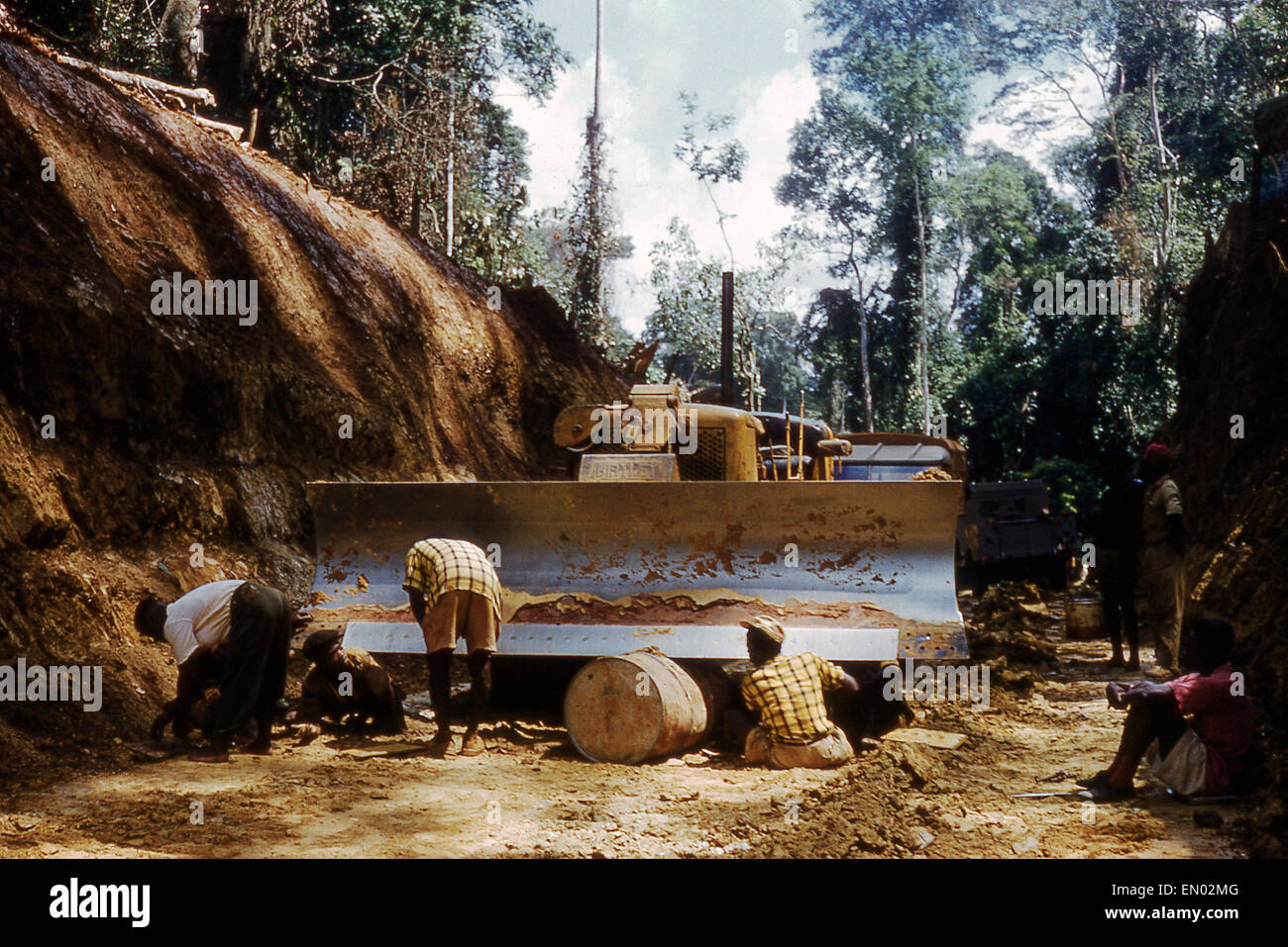 1960s, Ghana, logging industry. very wide tractor cutting a clearing ...