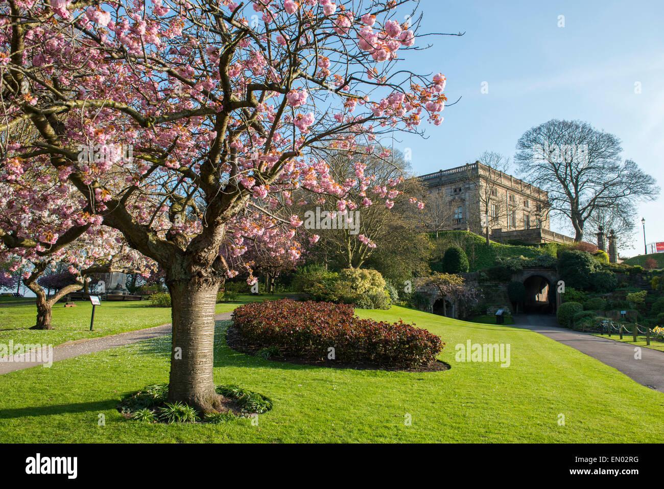 Spring at Nottingham Castle, Nottinghamshire England UK Stock Photo - Alamy