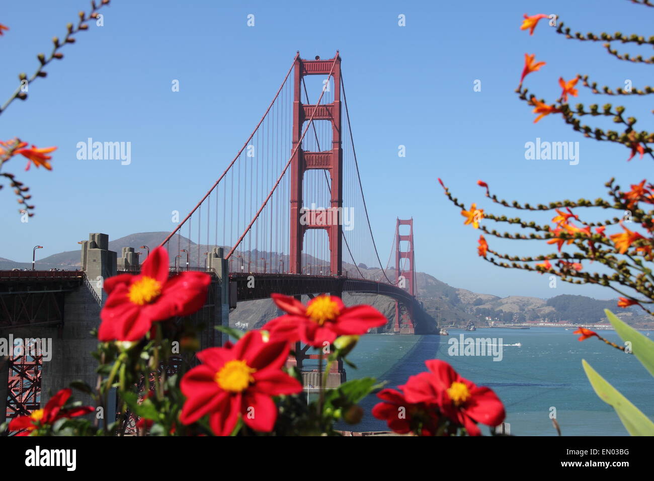 Golden gate bridge flowers hi-res stock photography and images - Alamy
