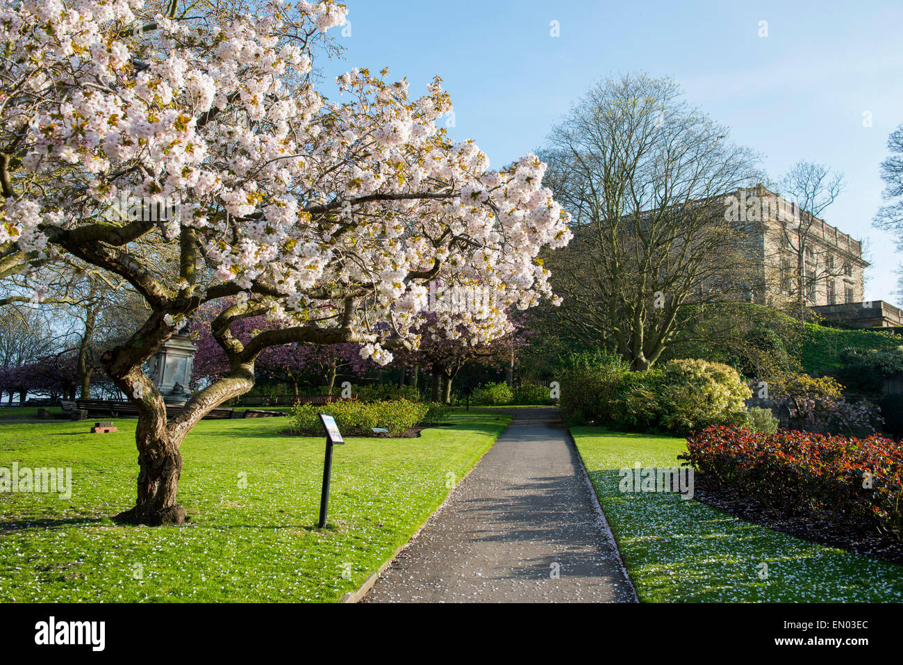 Spring at Nottingham Castle, Nottinghamshire England UK Stock Photo - Alamy