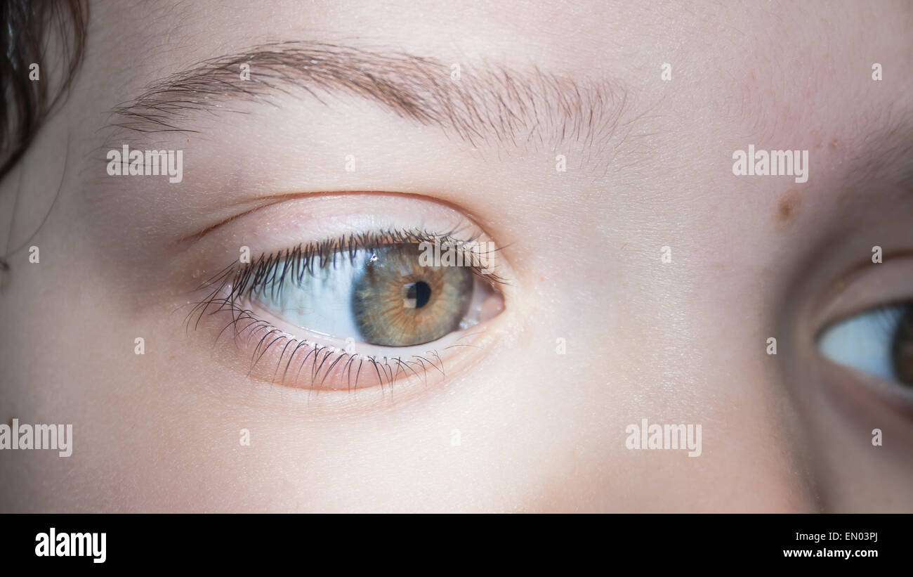What looks the eye. Close up image of a Kid eye Stock Photo - Alamy