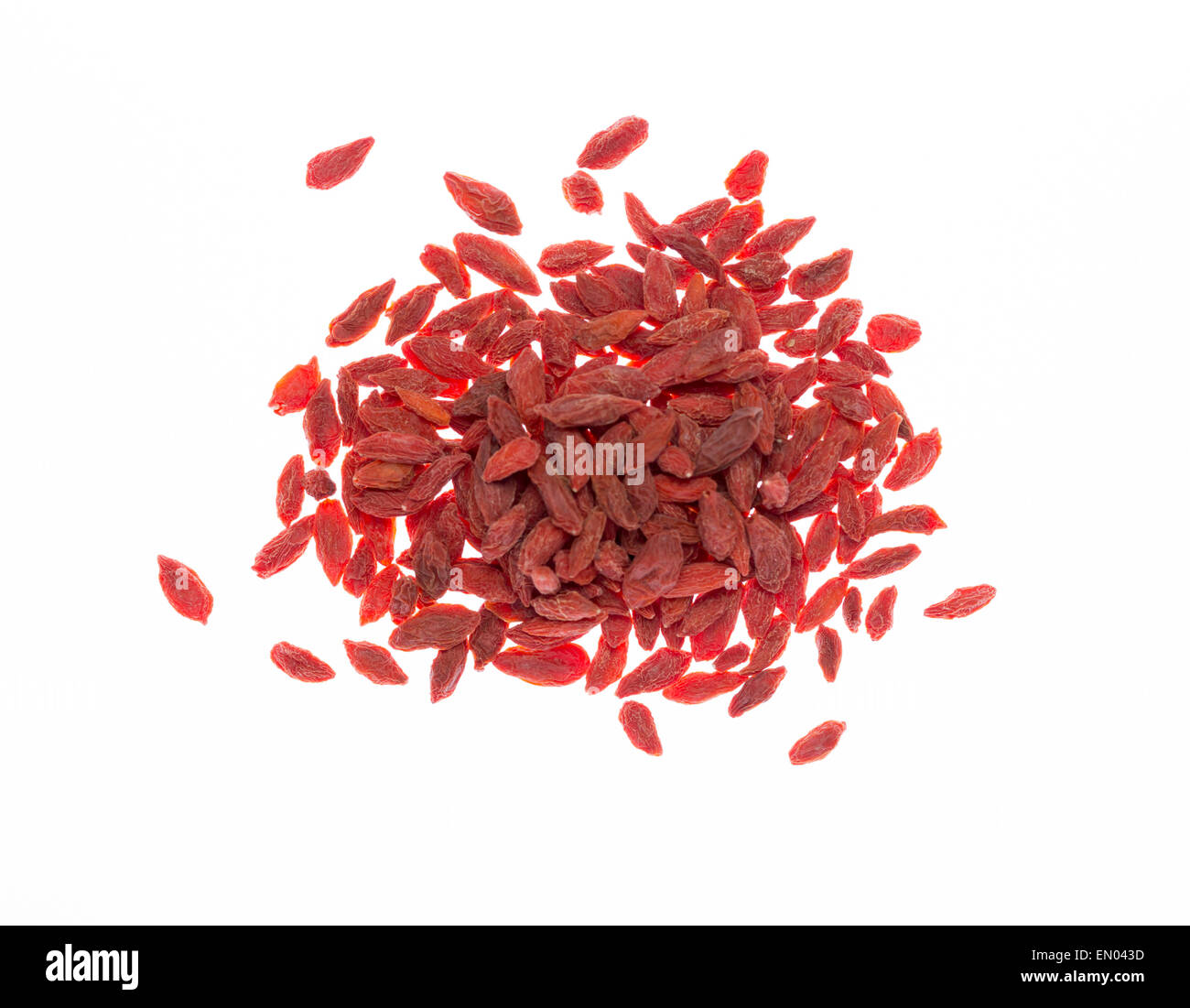 Wolf berry hi-res stock photography and images - Alamy