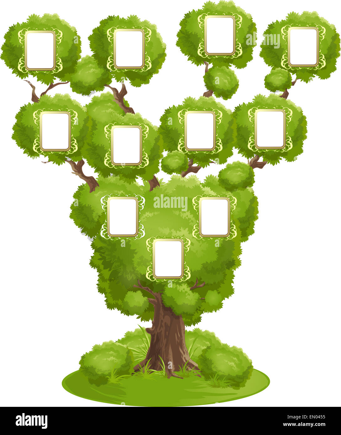 Beautiful family tree Stock Photo - Alamy