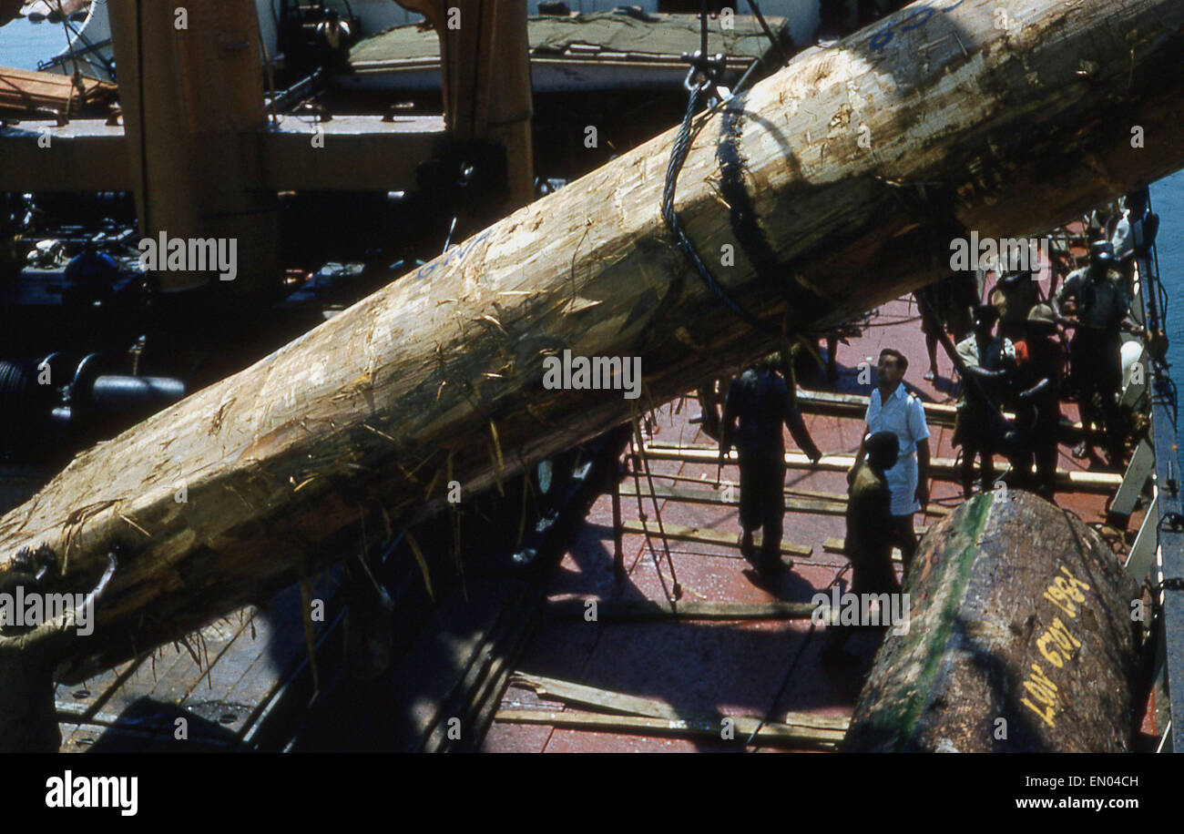 1960s ghana large logs timber hi-res stock photography and images - Alamy