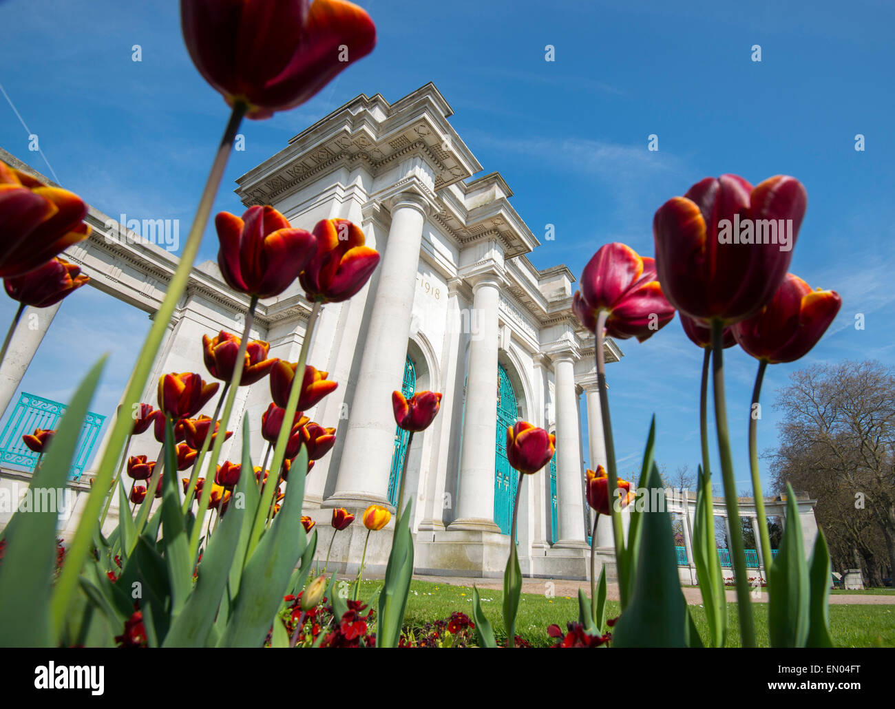Spring Tulips at the War Memorial at Victoria Embankment, Nottingham ...