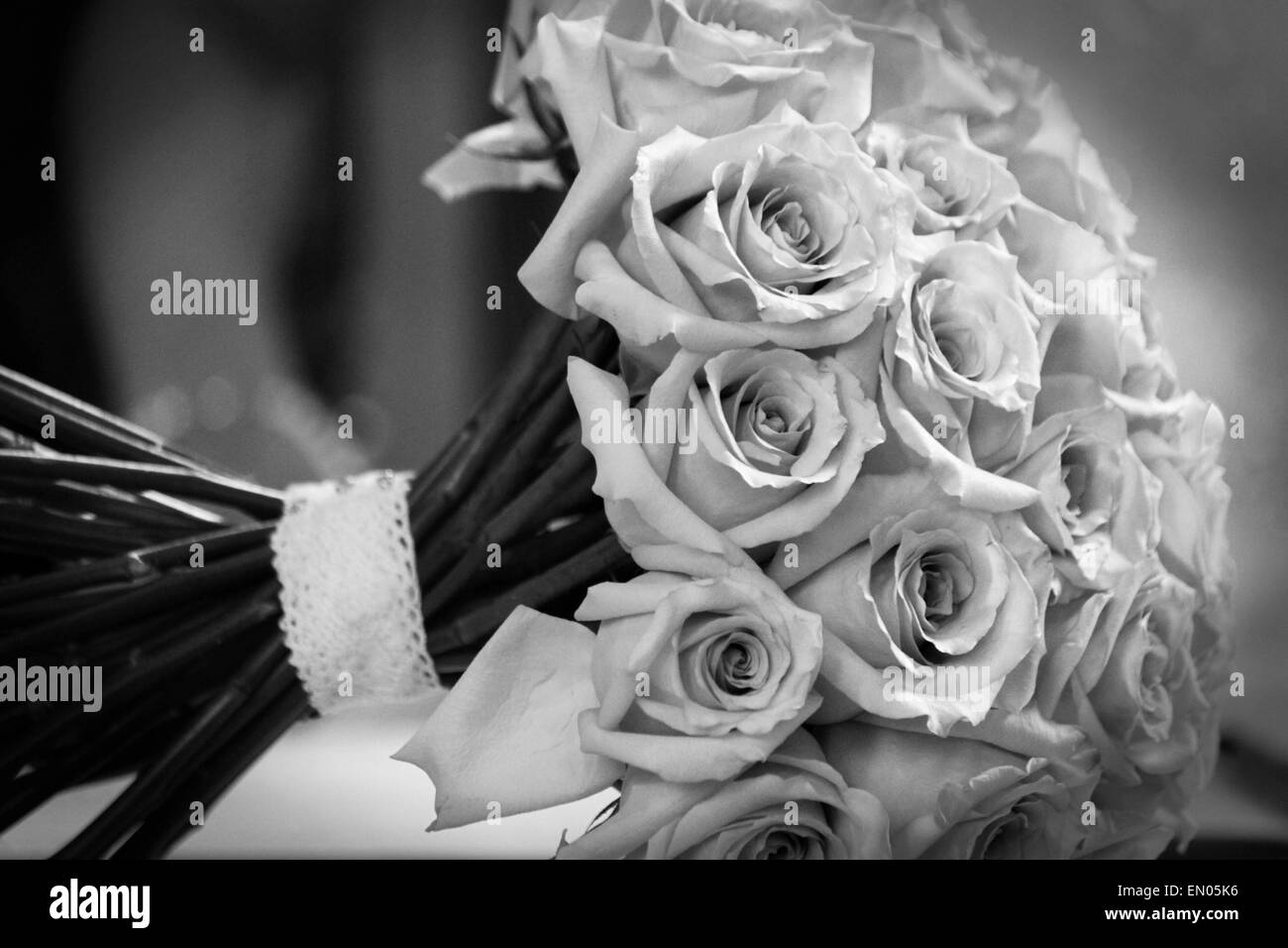 Close up frame hi-res stock photography and images - Alamy