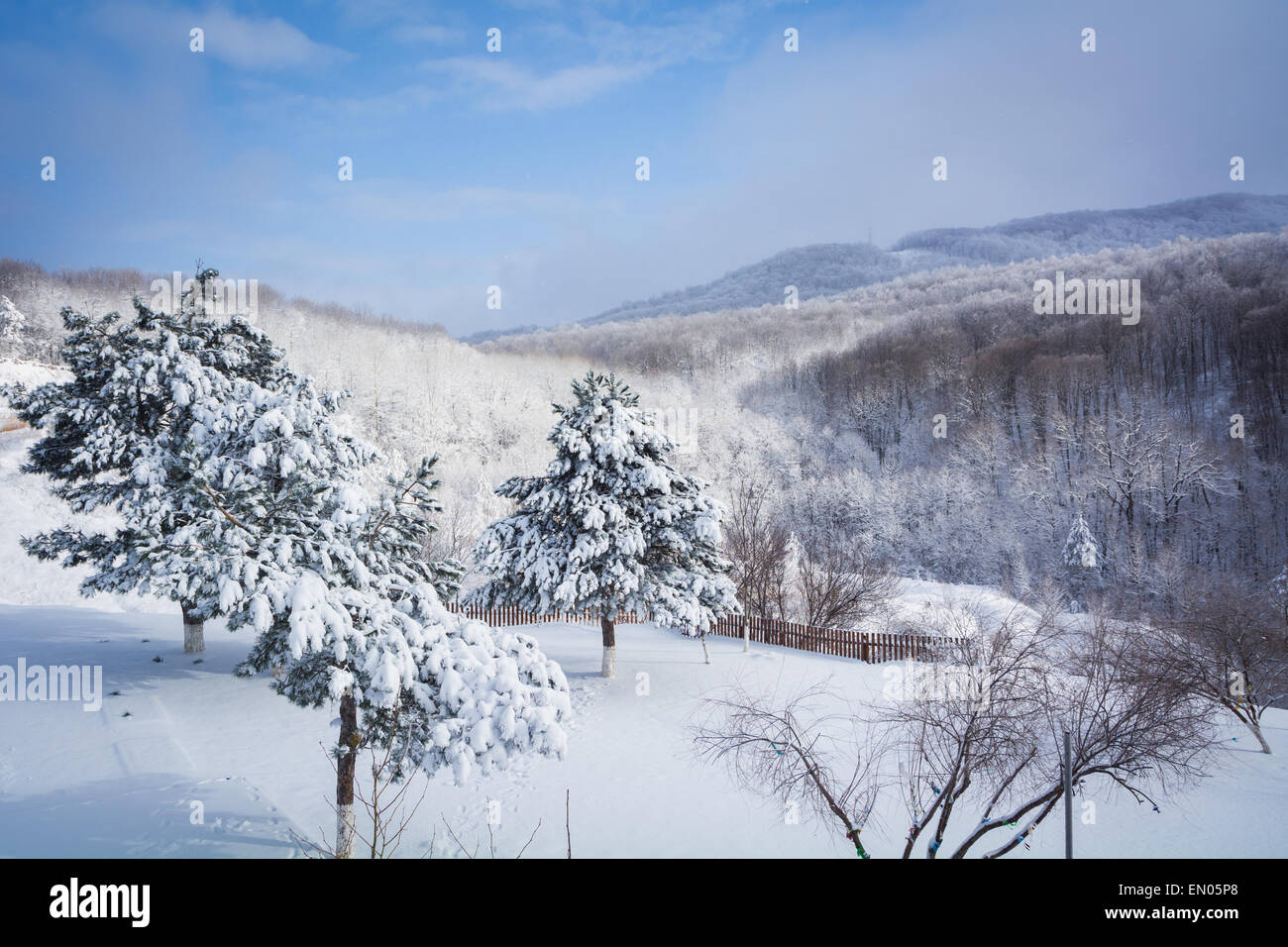 Krasnodarskiy region hi-res stock photography and images - Alamy