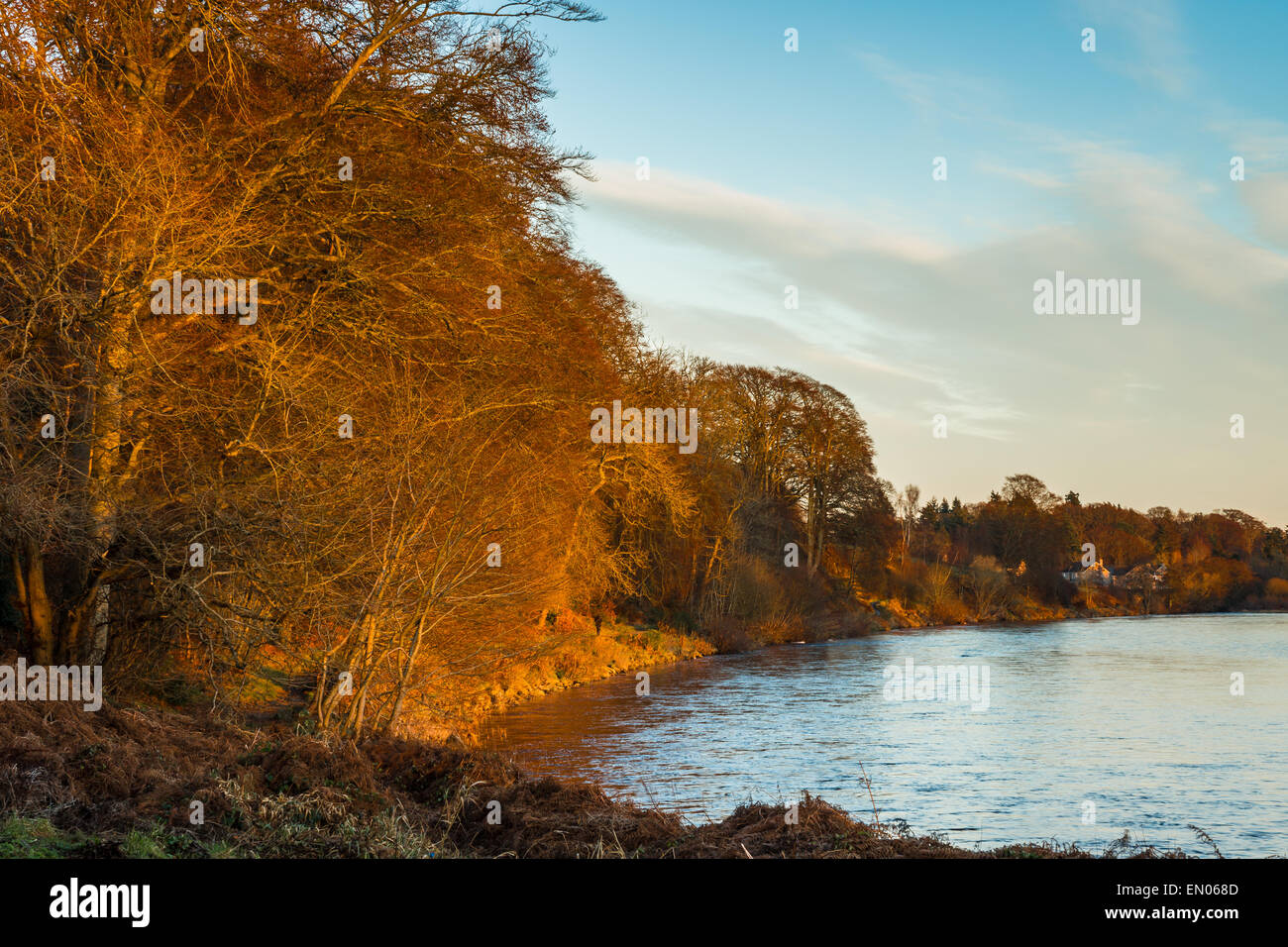 Lover's Walk beside the River Dee at Culter, Aberdeen, Aberdeenshire ...