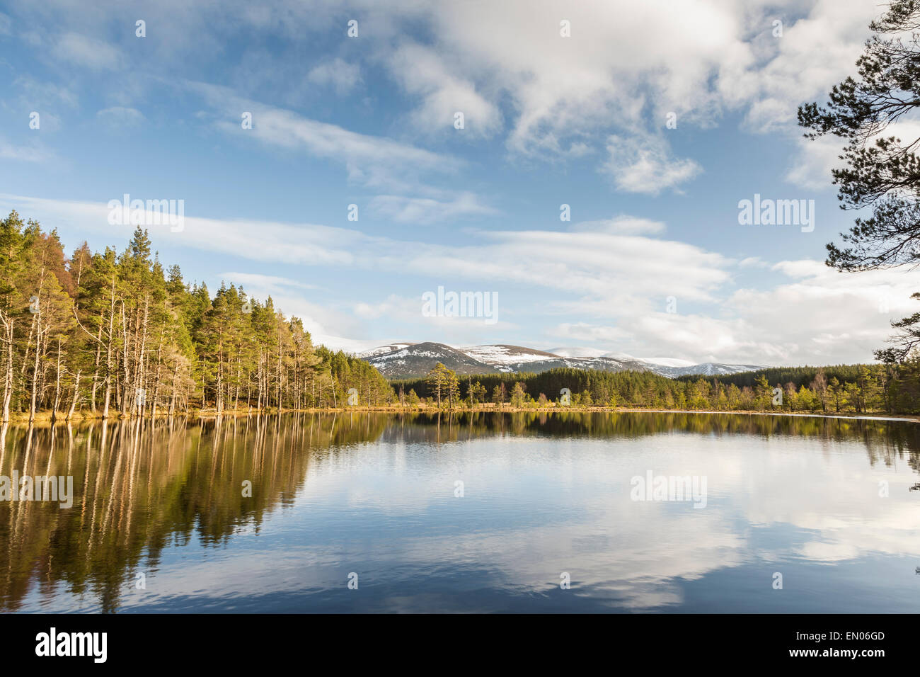 Uath Lochans at Glen Feshie in Scotland Stock Photo - Alamy