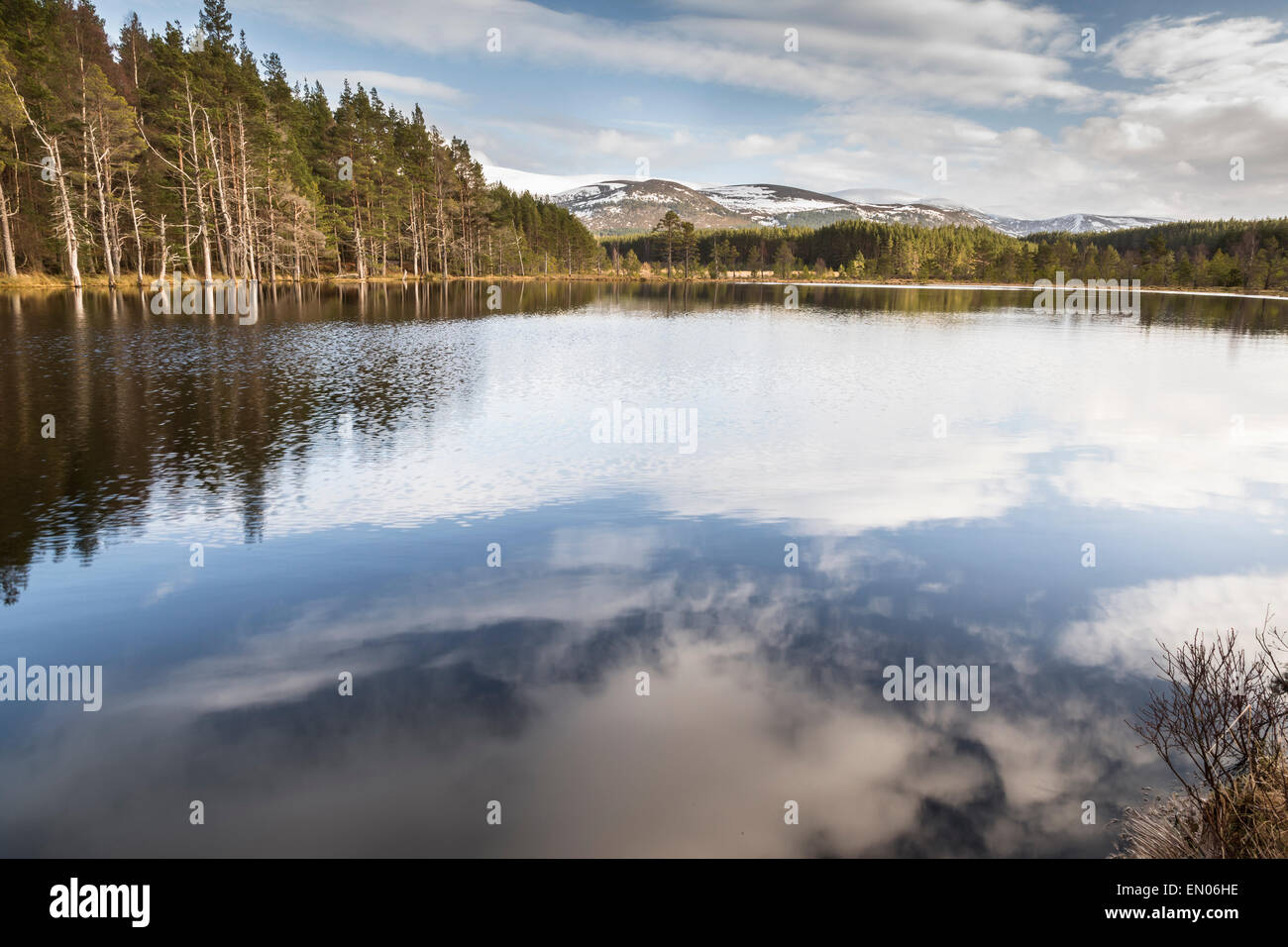 Uath Lochans at Glen Feshie in Scotland Stock Photo - Alamy