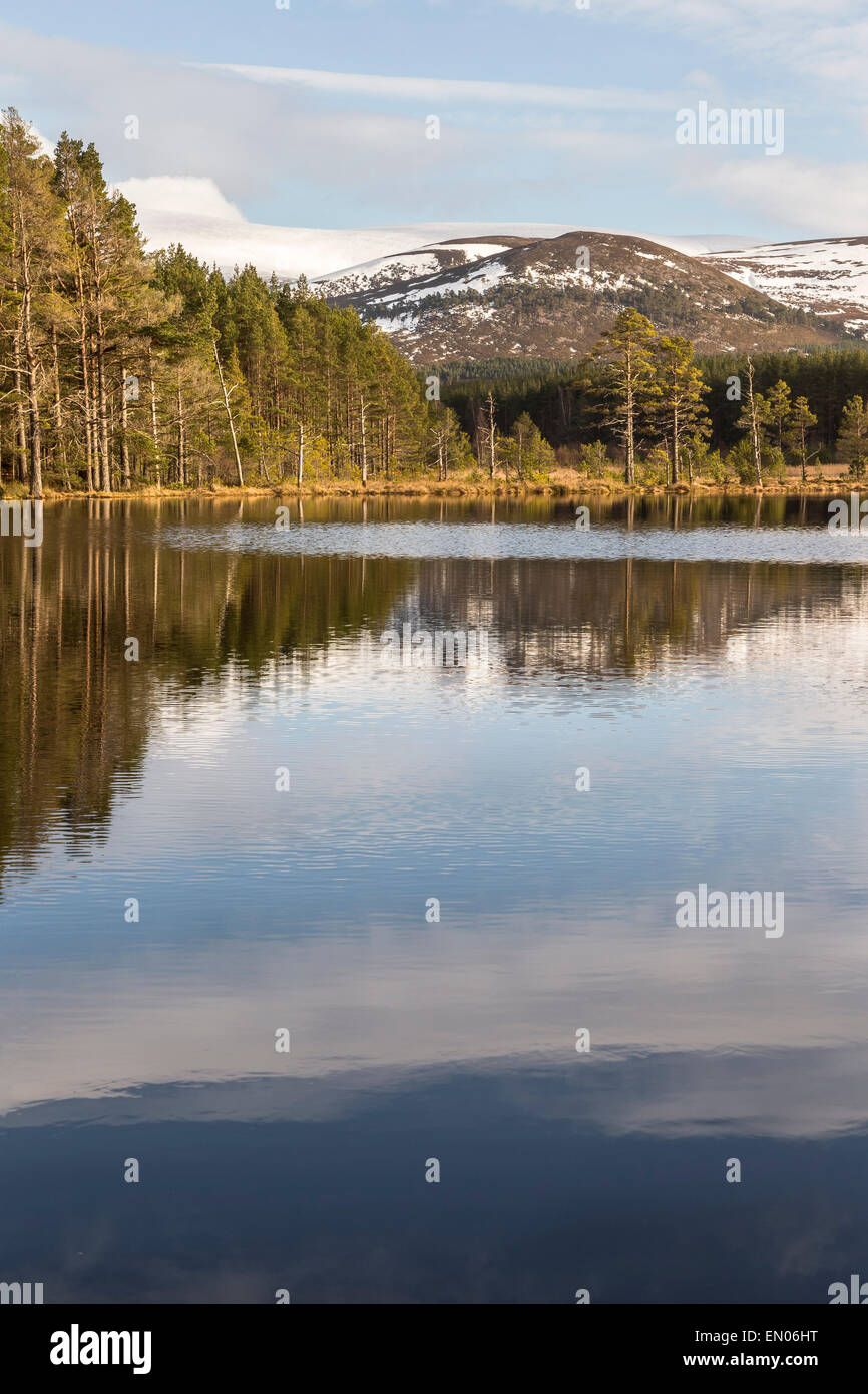 Uath Lochans at Glen Feshie in Scotland Stock Photo - Alamy