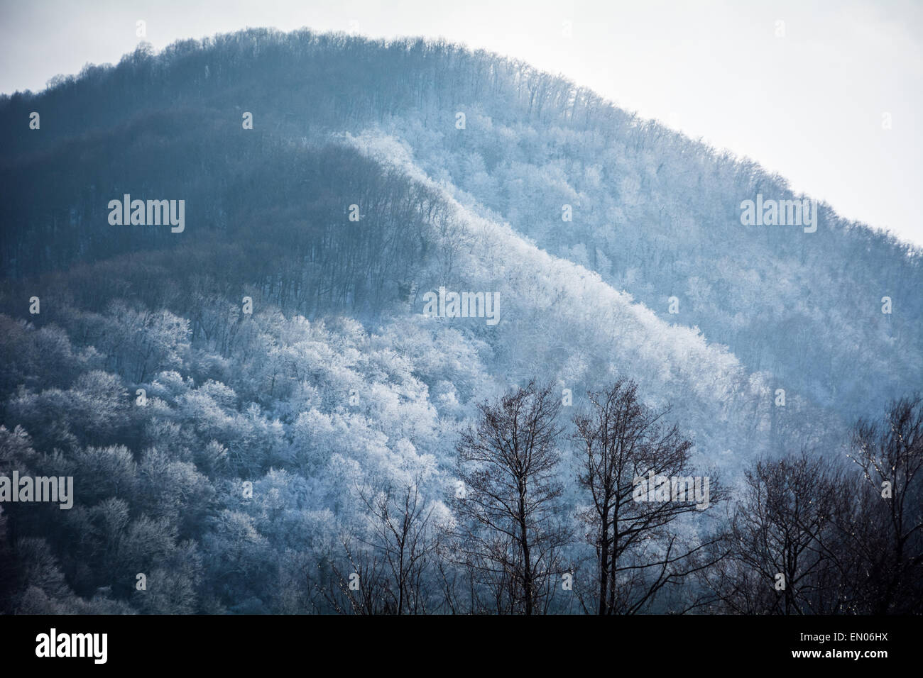 Krasnodarskiy region hi-res stock photography and images - Alamy