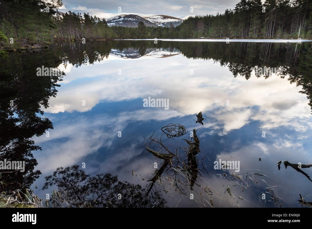 Uath Lochans at Glen Feshie in Scotland Stock Photo - Alamy