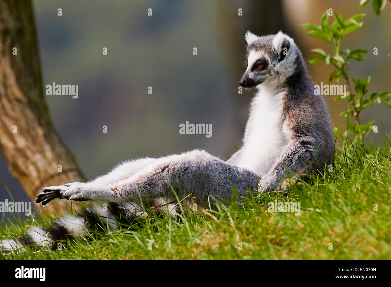 Originnobody hi-res stock photography and images - Alamy