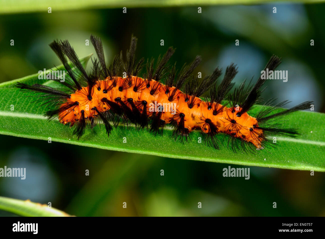 Dot to dot hi-res stock photography and images - Alamy