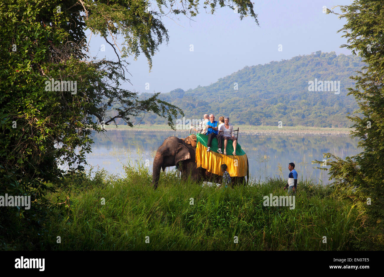 Sri lanka elephant safari hi-res stock photography and images - Alamy