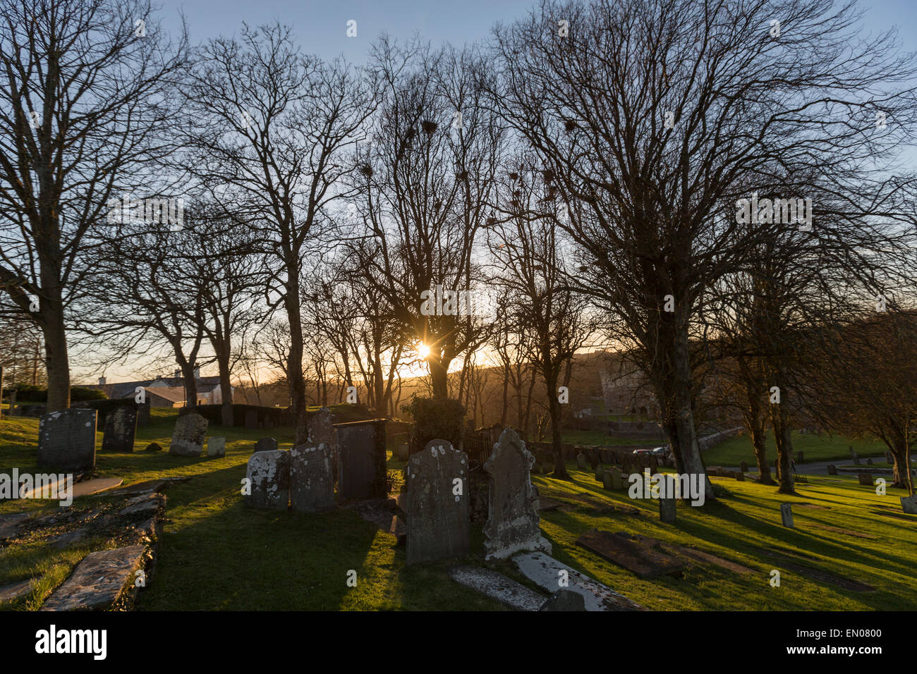 St David's Cathedral graveyard with raven nest at sunset Stock Photo ...