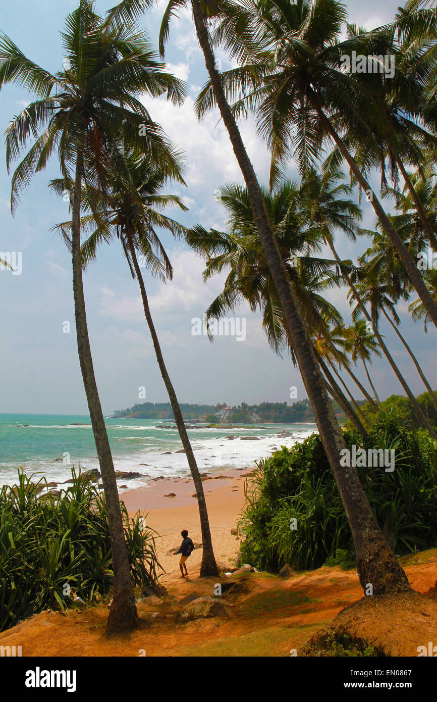 SRI LANKA the beach near Matara,south coast of Sri Lanka Stock Photo ...