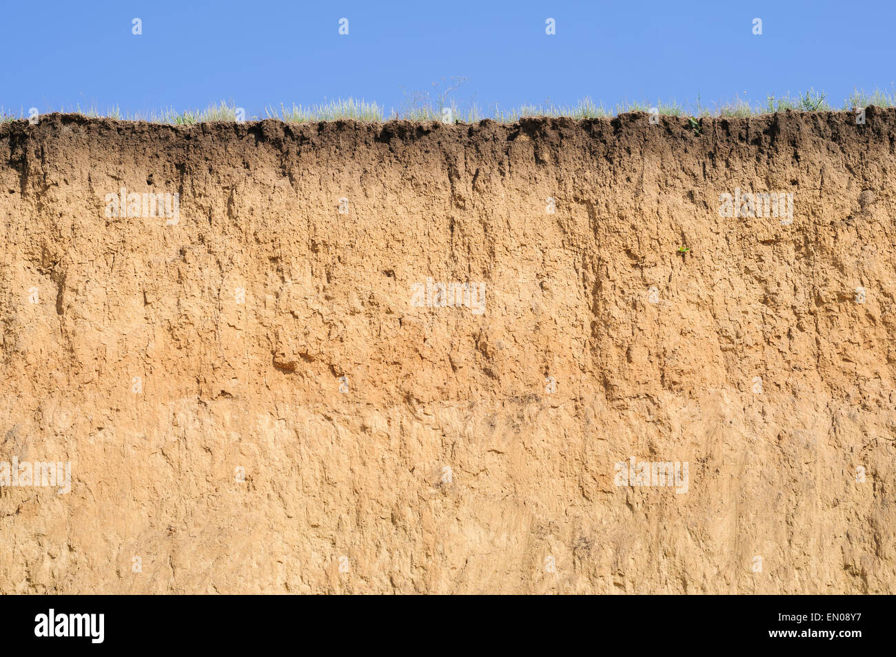 Layered cut of soil Stock Photo - Alamy