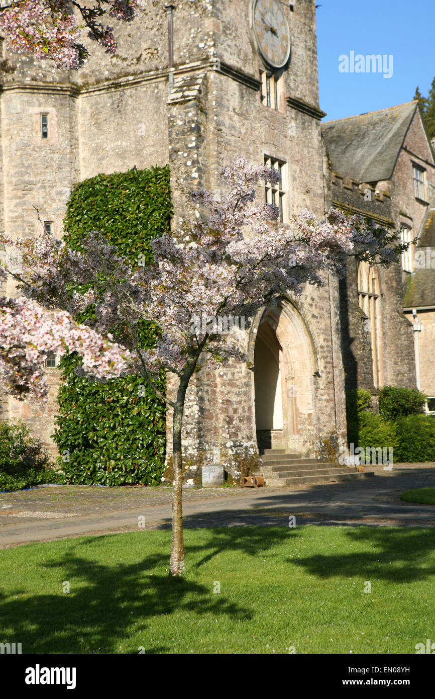 Dartington Hall House and Gardens near Totnes Devon England in Spring ...