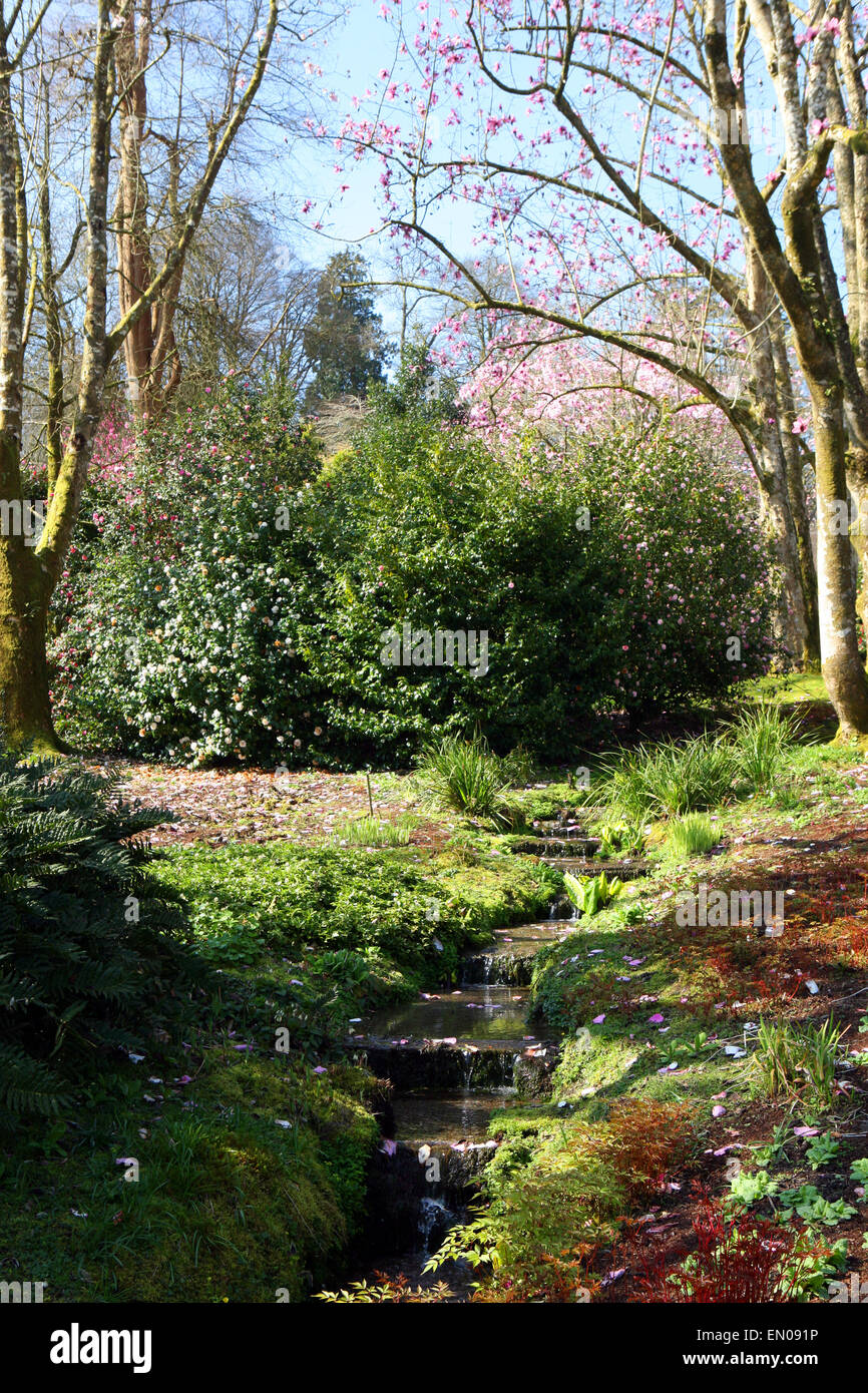 Lanhydrock house and Gardens Cornwall Stock Photo - Alamy