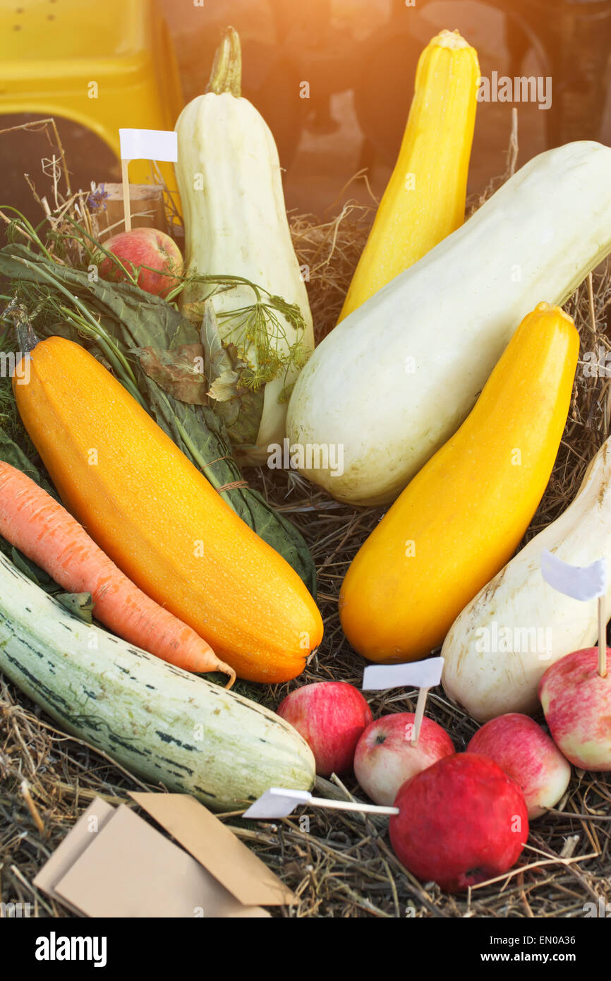 Organic vegetables close-up Stock Photo - Alamy