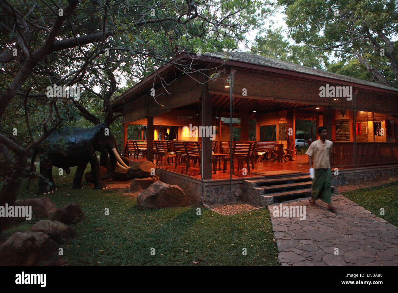 Elephant reach hotel hi-res stock photography and images - Alamy