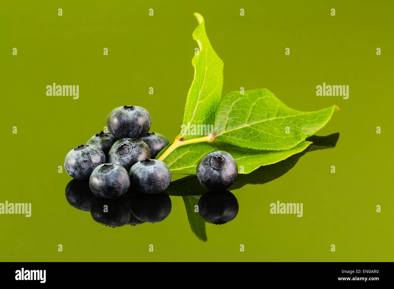 Healthy blueberries with leaf on a green background with reflection ...