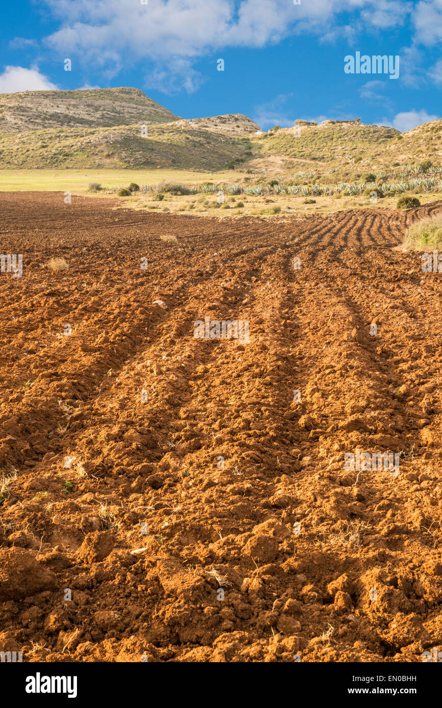 Furrowed earth hi-res stock photography and images - Alamy