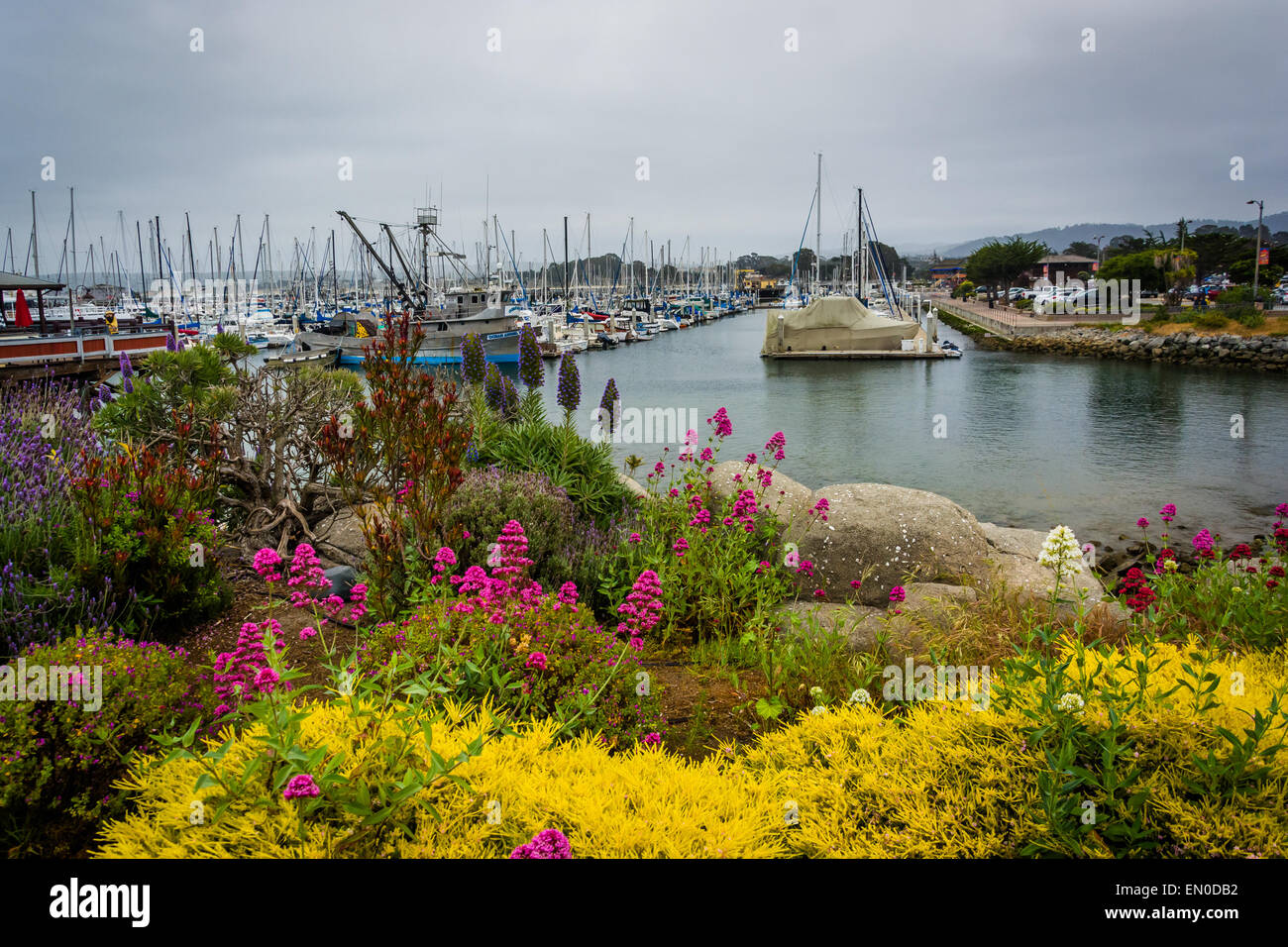 Monterey garden hi-res stock photography and images - Alamy