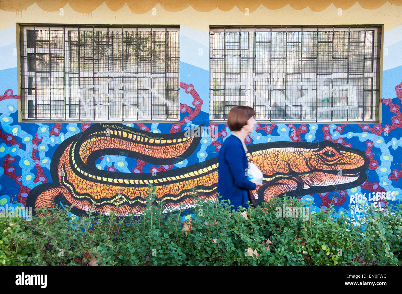 Street art murals in downtown Santiago de Chile Stock Photo - Alamy
