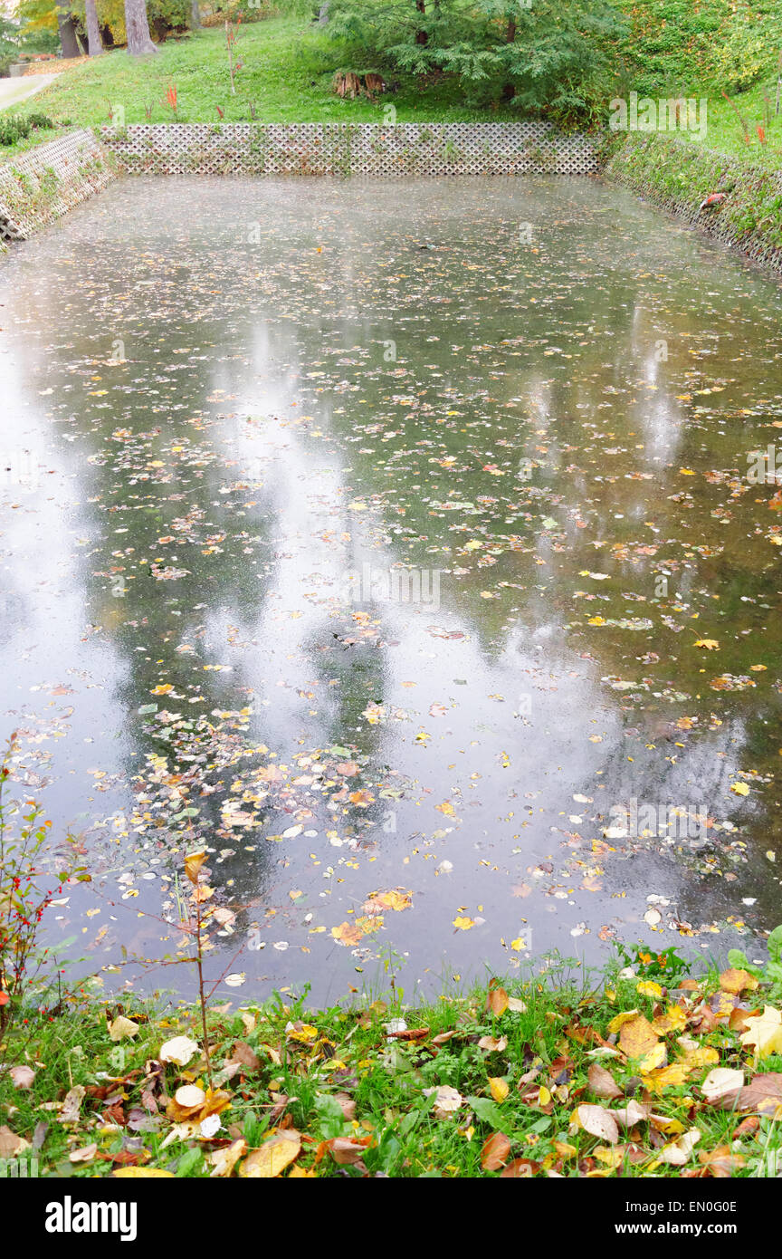 Garbage in pond hi-res stock photography and images - Alamy
