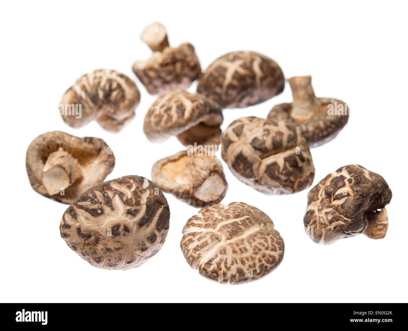 Dried shiitake mushrooms isolated on white background Stock Photo - Alamy